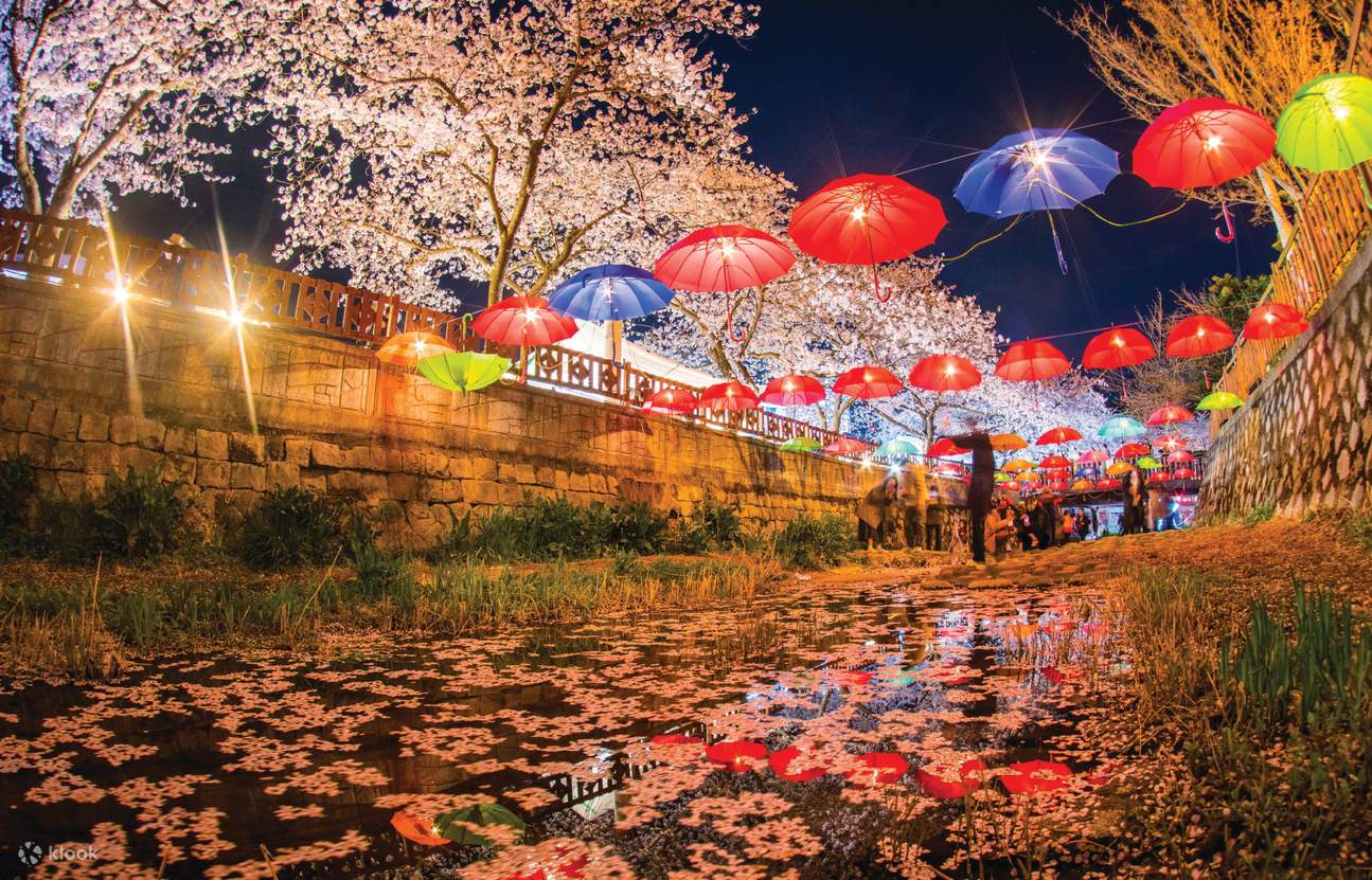 Jinhae Cherry Blossom Tour from Busan - Klook Singapore