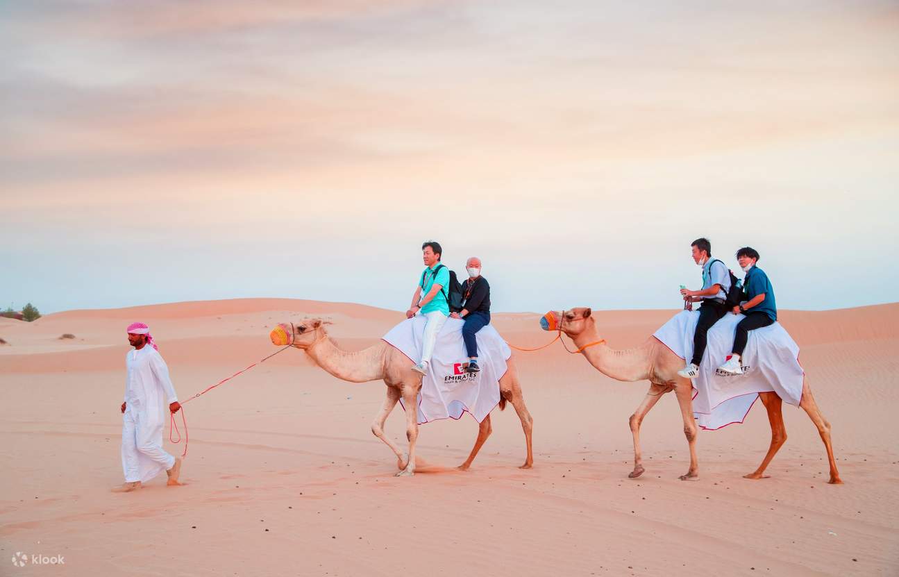 Morning Desert Safari with Hotel Transfers from Abu Dhabi, UAE - Klook