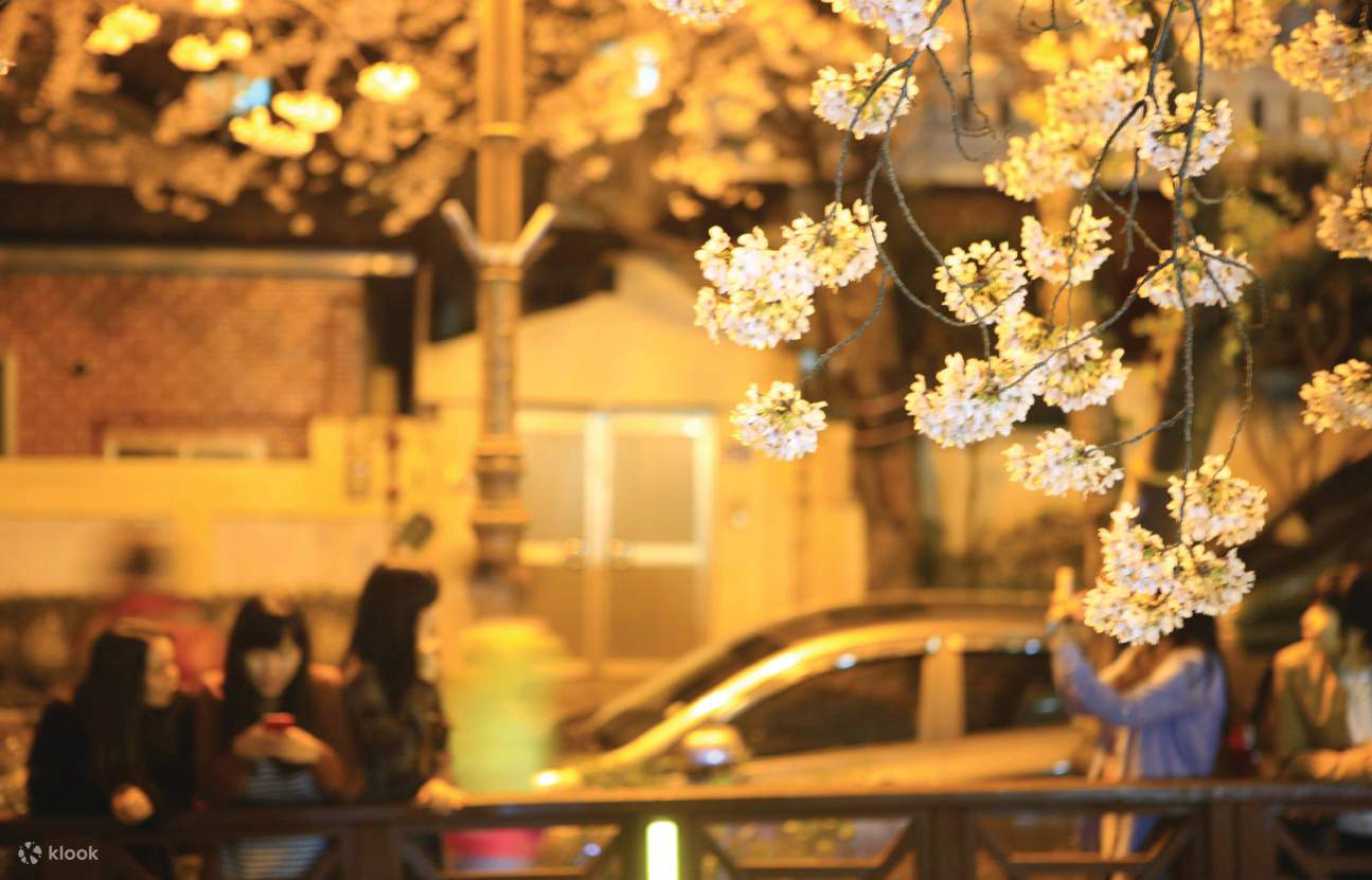 Jelajah Jinhae Cherry Blossom dari Busan - Klook Amerika Syarikat