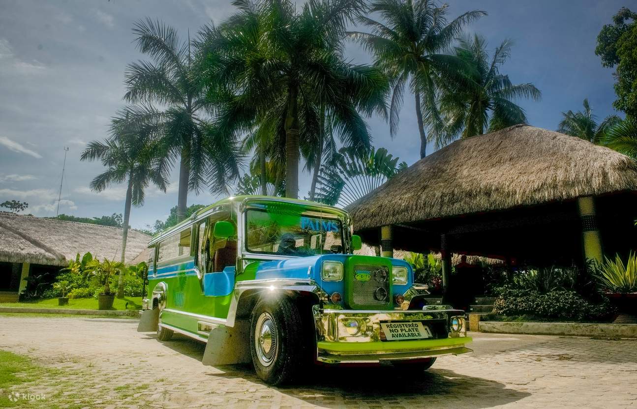 Uso diurno de South Palms Resort Panglao: diversión en la isla - Klook ...