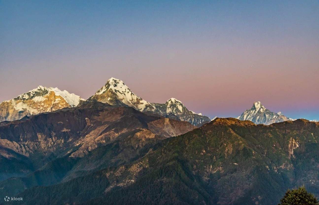 Explore the Beauty of Ghorepani Poon Hill Trek from Pokhara - 4 Days/3 ...