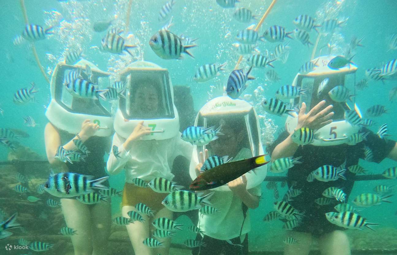 Thrilling Watersports: Jetski and Seawalking Experience by Seadoo ...