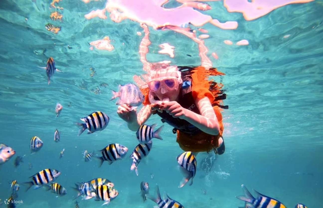 Tour de un día de paseo por el mar y de isla en isla - Klook Estados Unidos