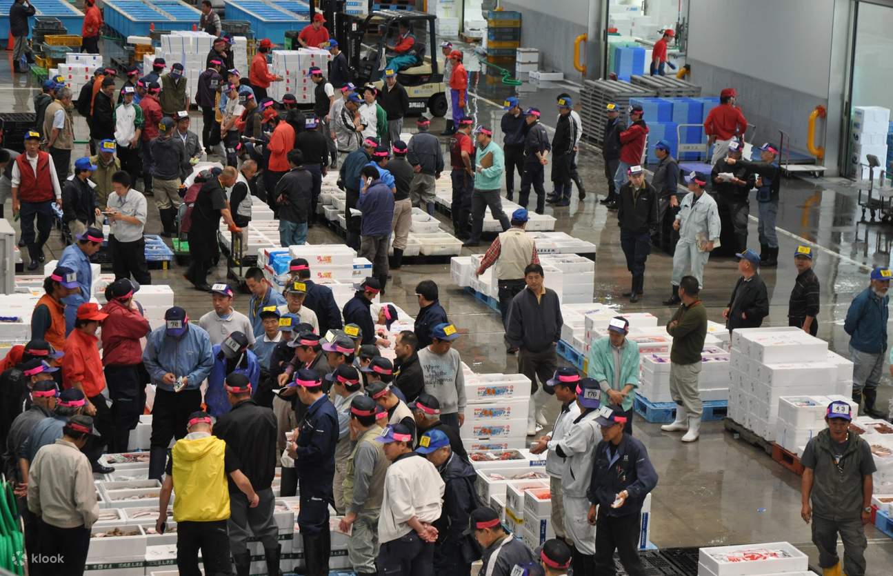 Numazu Port Sightseeing Boat - Klook India