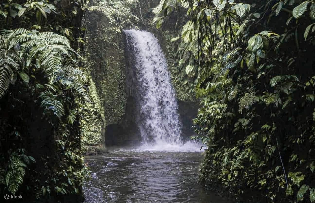 Eastern Bali's Best Waterfalls Private Day Tour in Bali - Klook