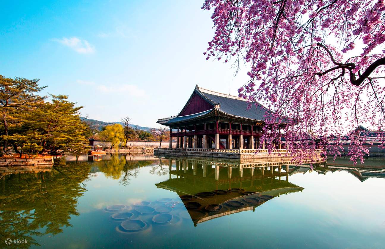 Seoul City Tour with Cherry Blossom - Klook United Kingdom