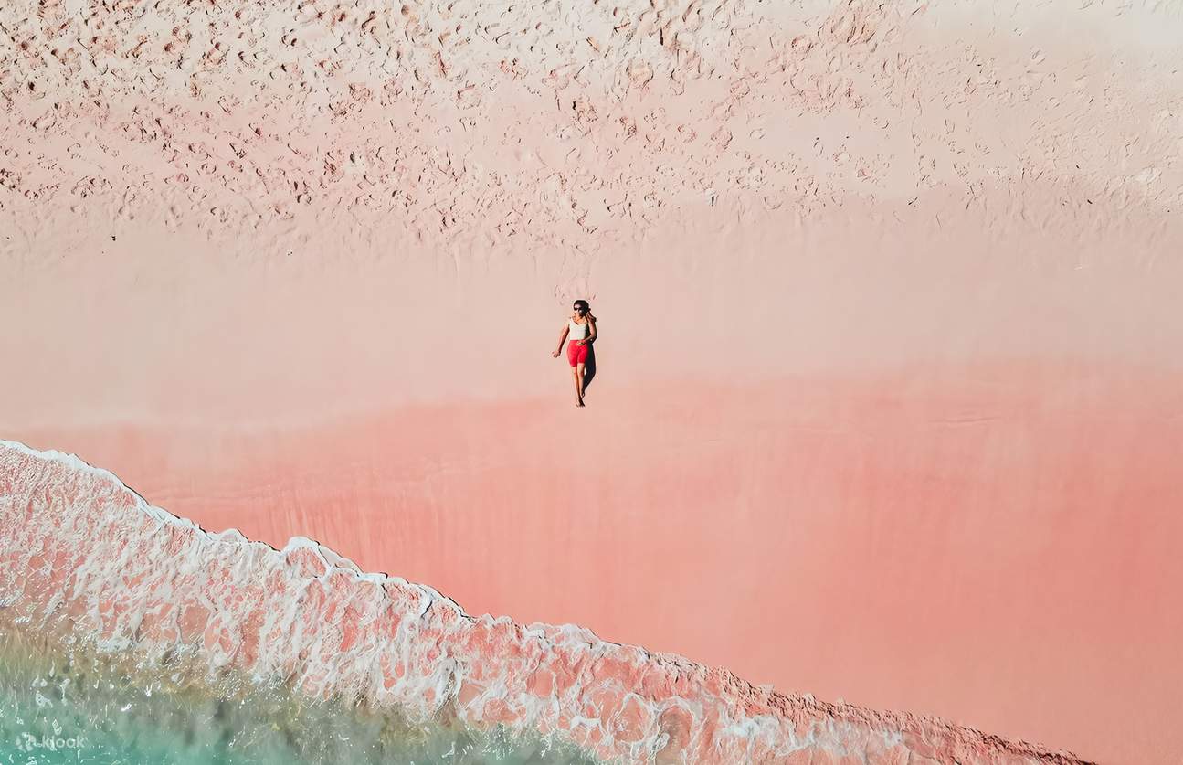 Private Speedboat Komodo Tour With Mac Cruise from Labuan Bajo - Klook ...