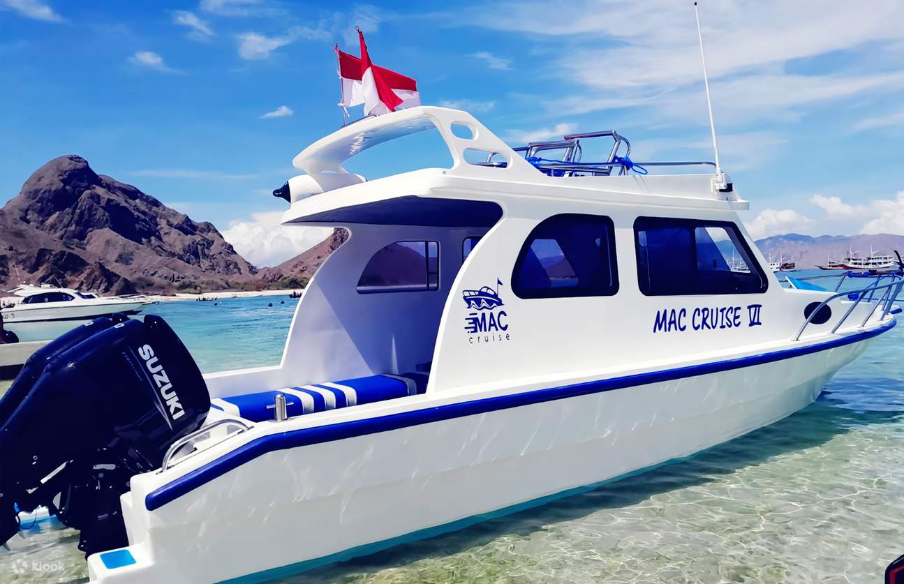 Private Speedboat Komodo Tour With Mac Cruise from Labuan Bajo - Klook ...
