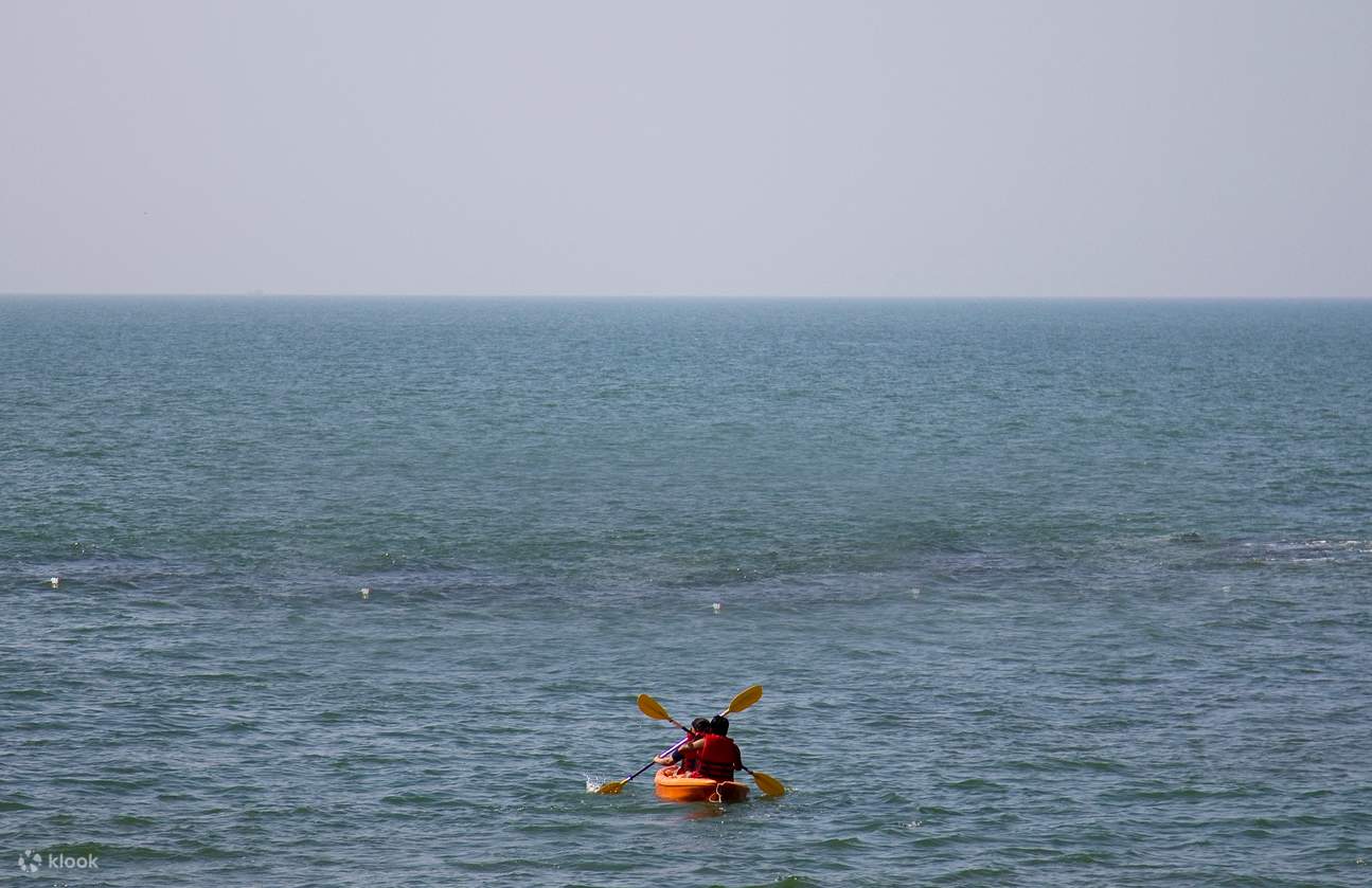 Party Boat Adventure Trip in Goa - Klook Россия