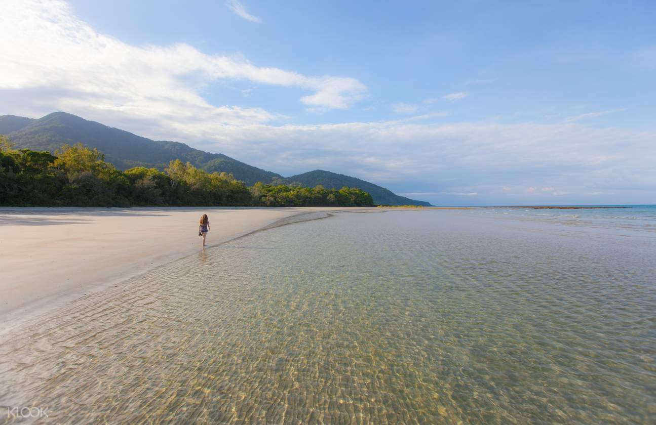 Cape Tribulation & Daintree Wilderness