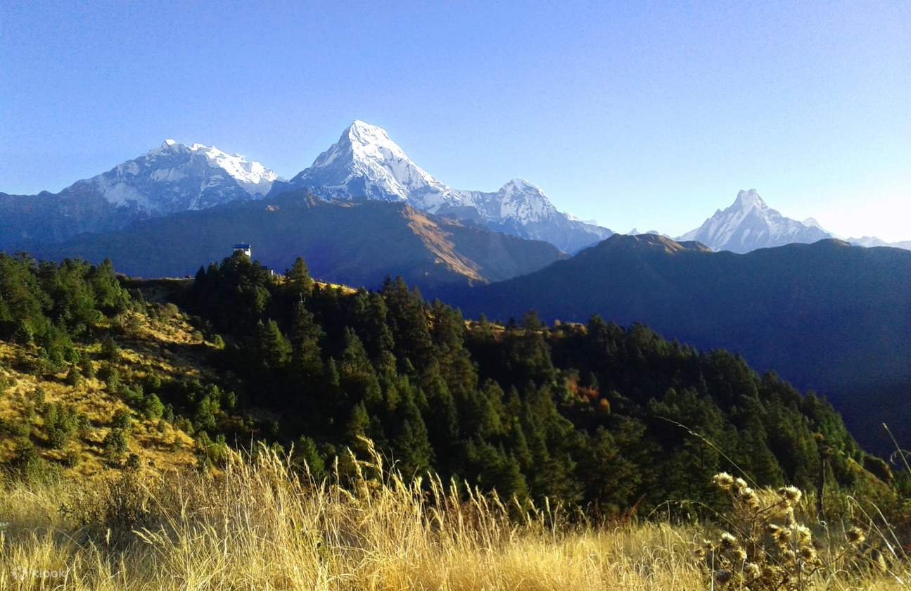 探索雄偉的安納布爾納峰地區：從博卡拉出發的 4 天 Poon Hill 健行 Klook 客路