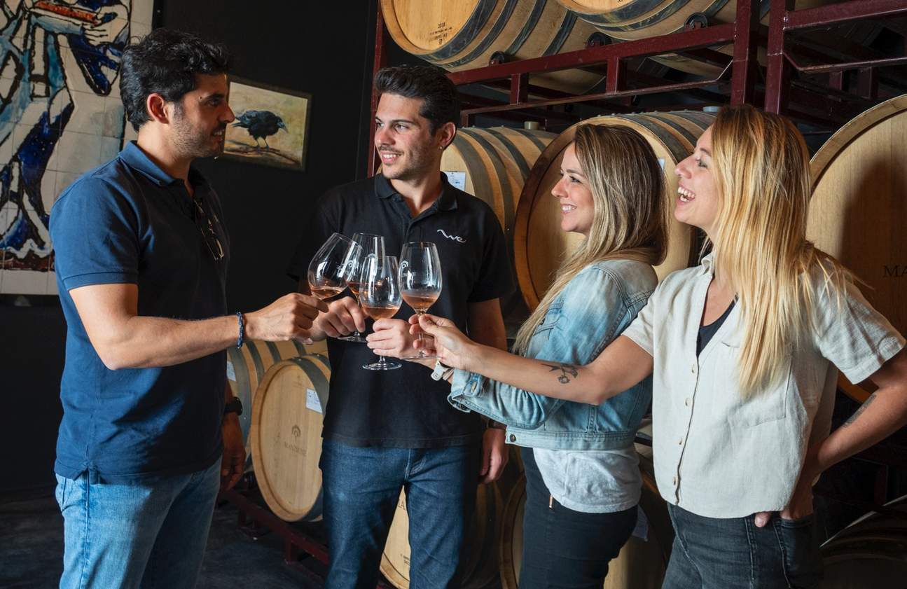 Spanish Traditional Villages and Wineries Tour from Madrid - Klook