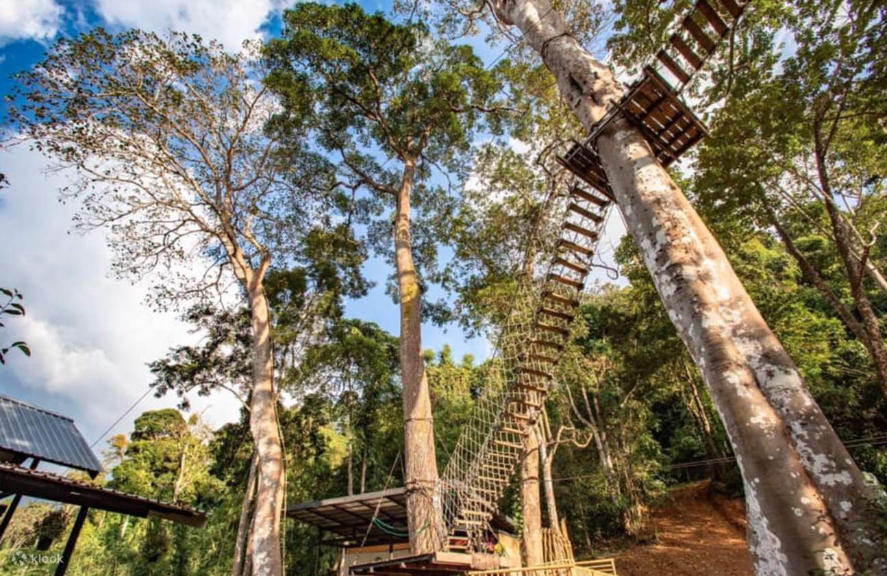 Join In Skyhawk Zipline Experience Chiang Mai in Chiang Mai - Klook