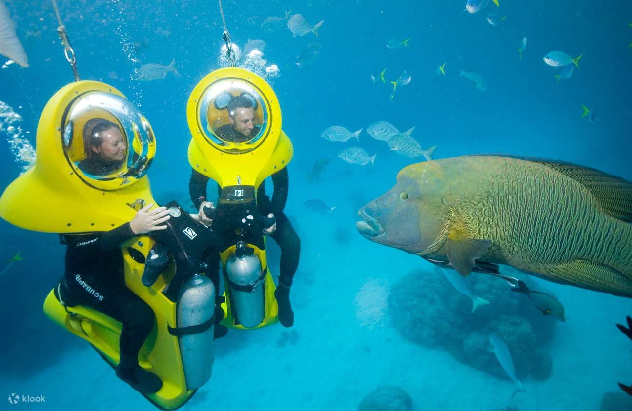 Great Barrier Reef Adventure from Cairns - Klook Indonesia