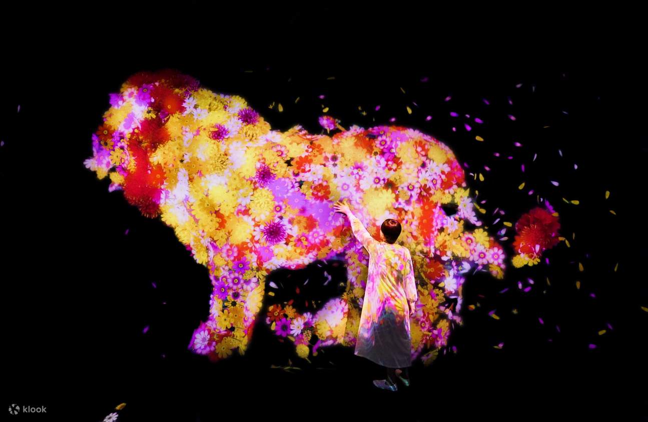 teamLab Future Park and Animals of Flowers, Symbiotic Lives Sapporo ...