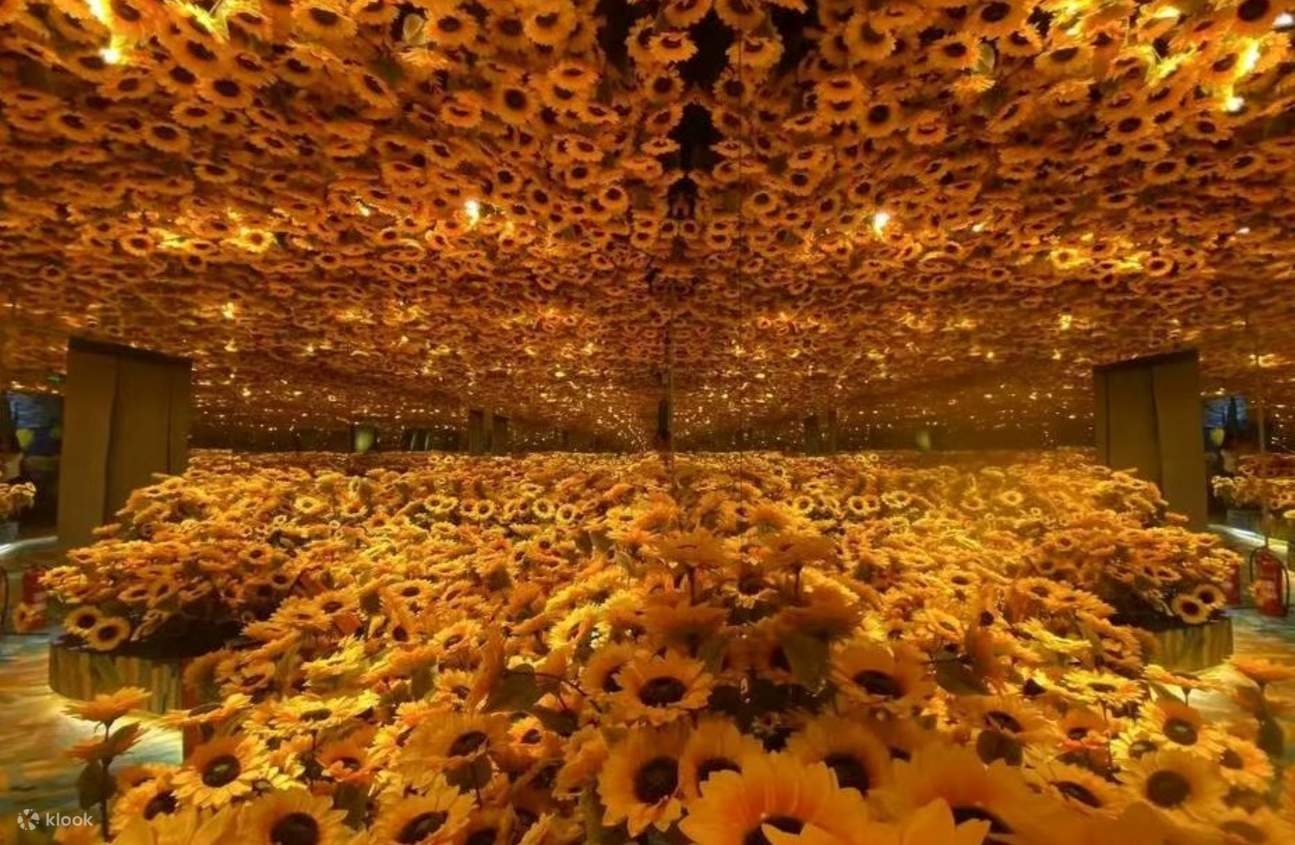 Van Gogh Starry Sky Art Museum Ticket in Hangzhou - Klook New Zealand