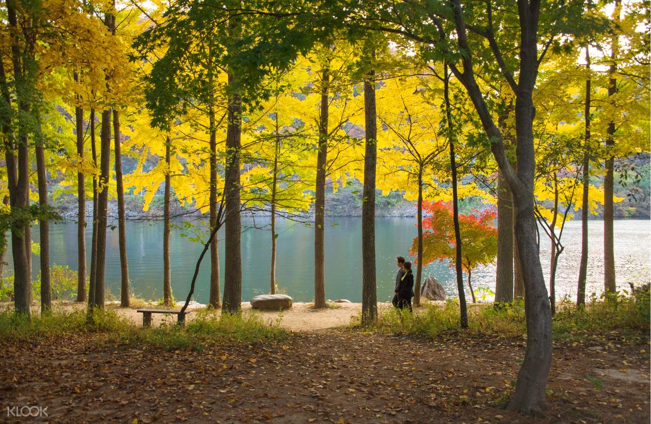 Nami Island Skyline ZipWire