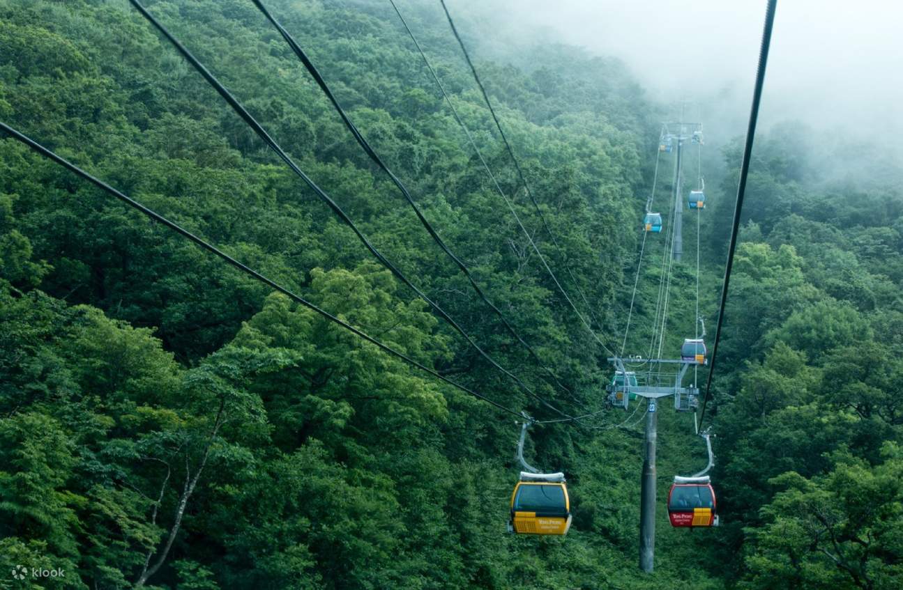 Balwangsan Cable Car & Samyang Ranch One Day Tour from Seoul - Klook