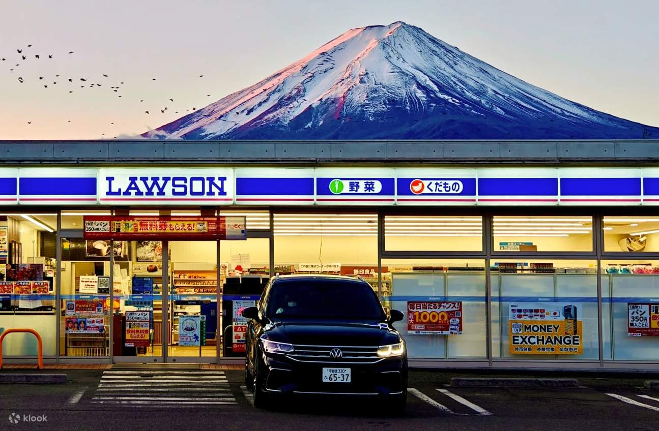 Tur satu hari terbatas melihat bunga |. Melihat bunga Gunung Fuji ...