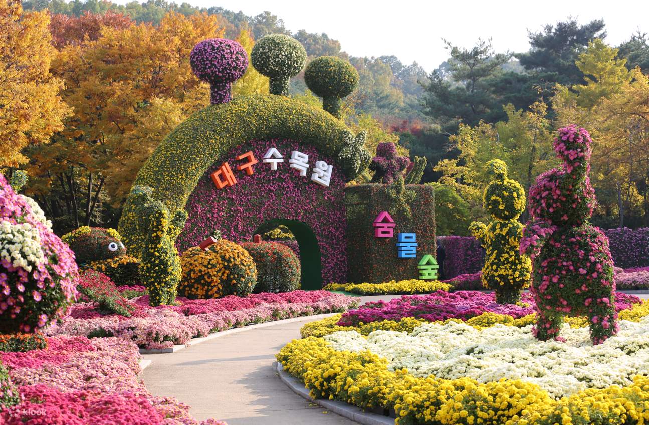 Daegu E-World+83 Tower&Seomun Nightmarket&Palgongsan Cable&Arboretum ...