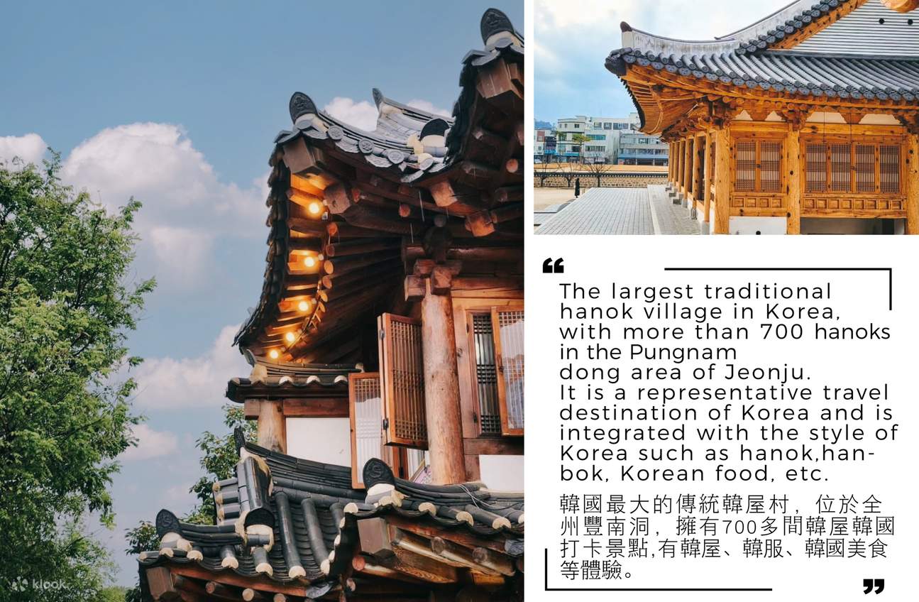 King Cherry Blossom Tour from Busan - Klook