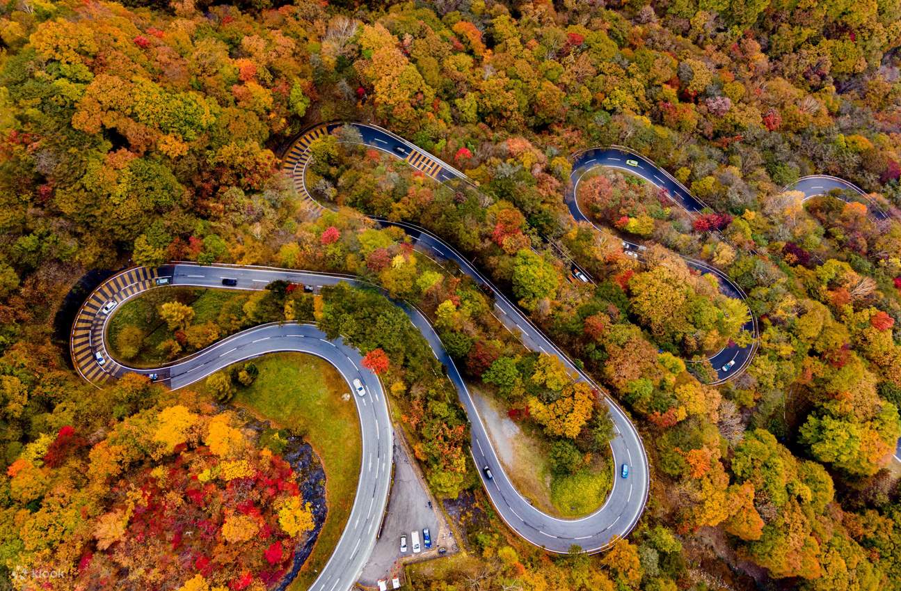 Nikko Autumn Special: Irohazaka, Kegon & Watarase Railway Day Tour ...