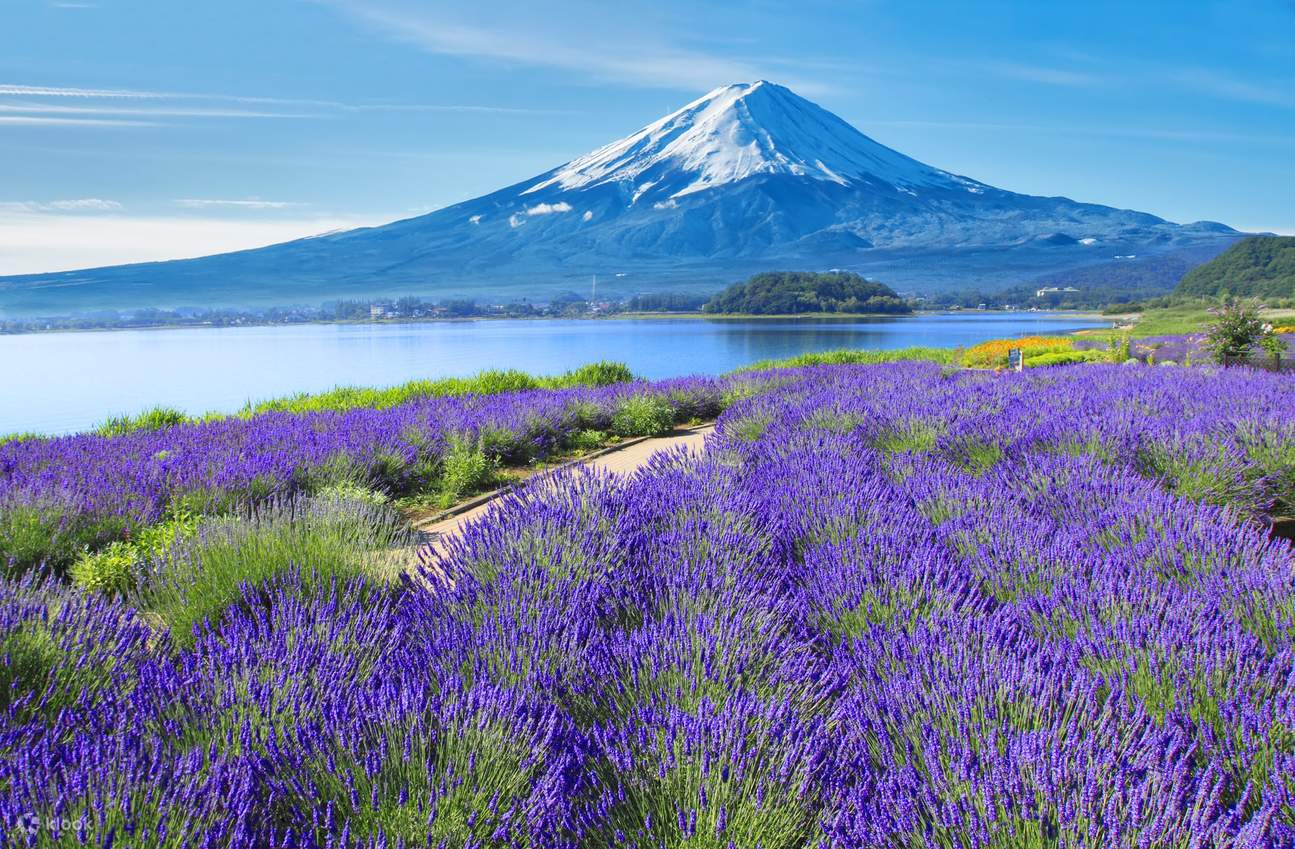 Tour panoramico diurno del Monte Fuji - Centro del patrimonio mondiale ...
