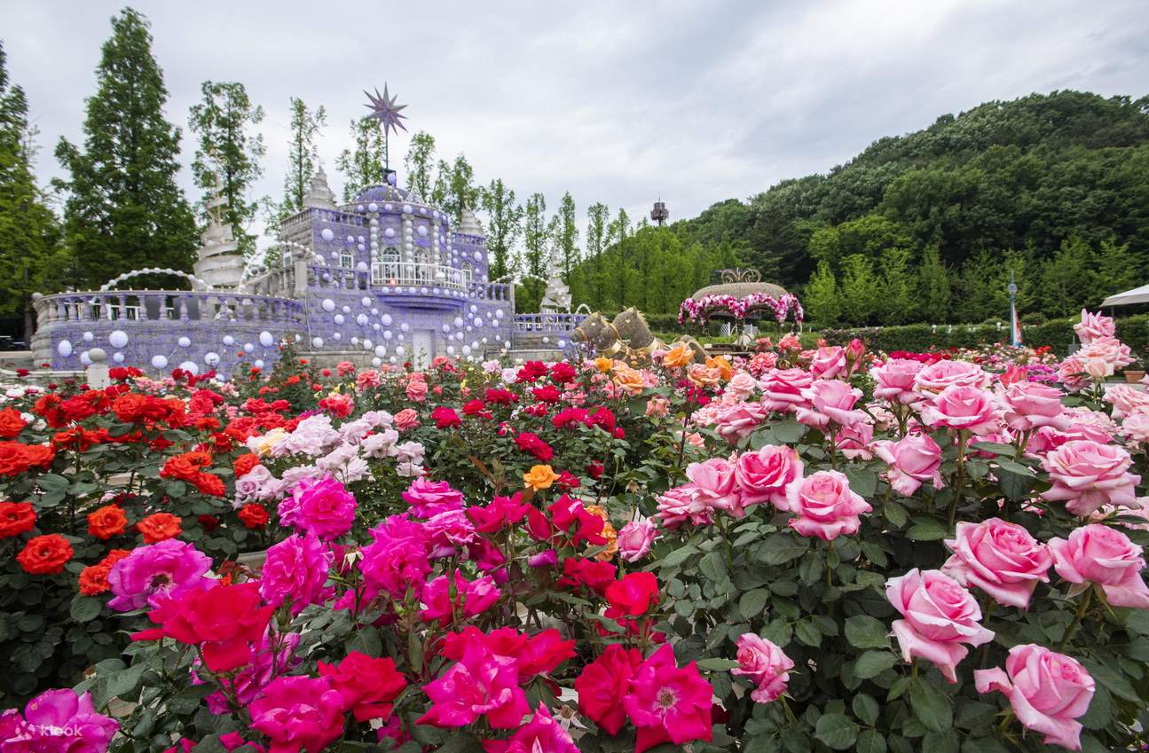 Everland Korea Theme Park Tickets - One Day Pass (QR Code Entry) - Klook