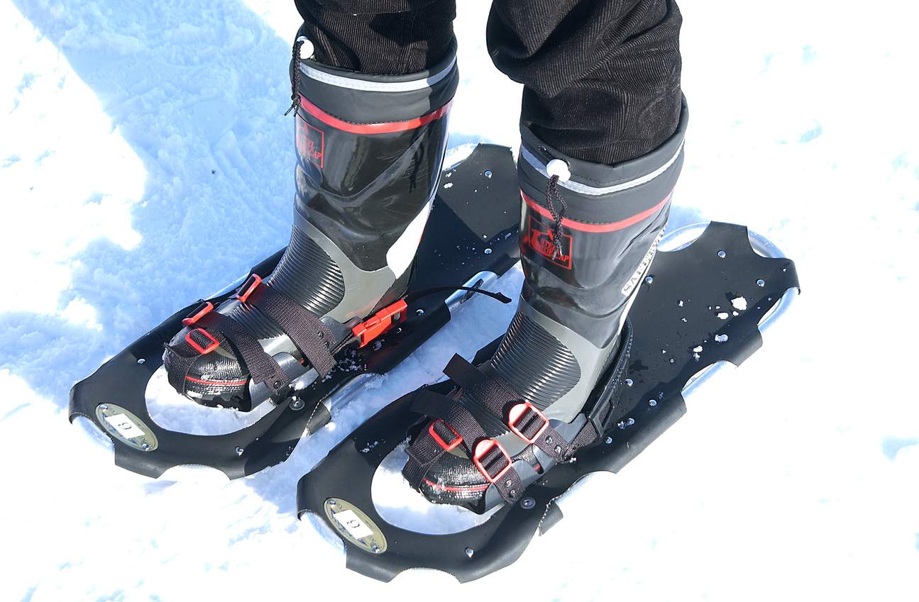 Wild watching in Sapporo - Klook