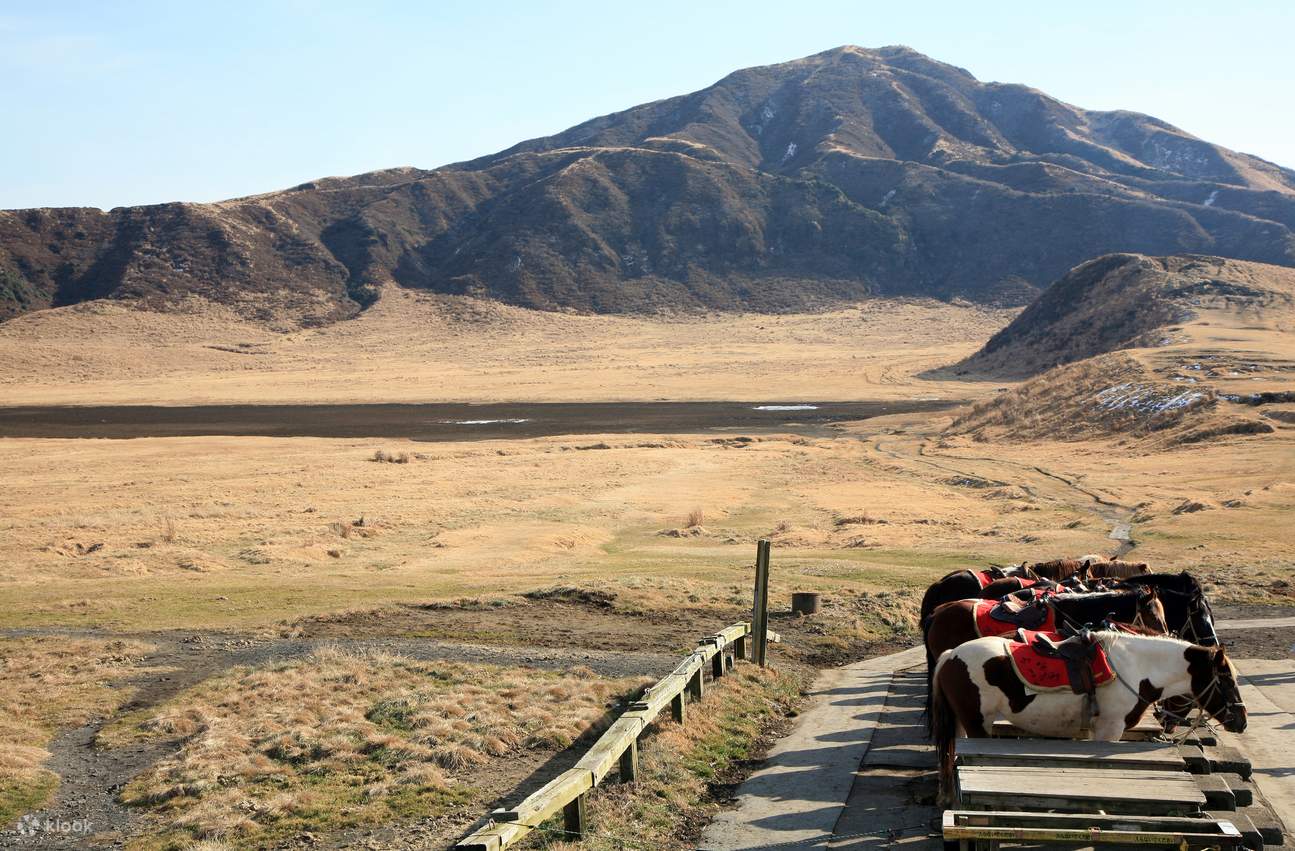 Online Booking for Kusasenri & Mount Aso Day Trip Tour - Klook New Zealand