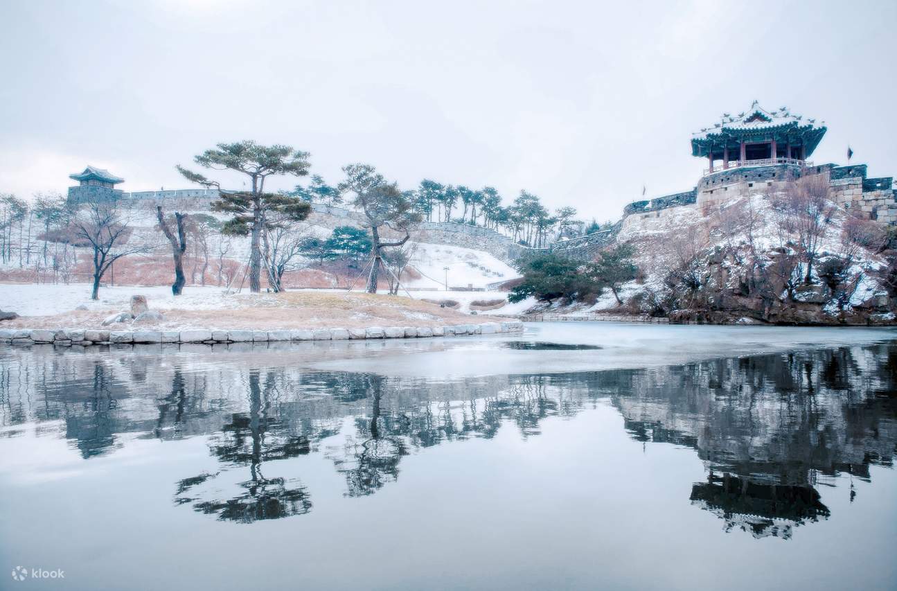 Cherry Blossom Suwon Hwaseong Fortress Tour from Seoul - Klook India