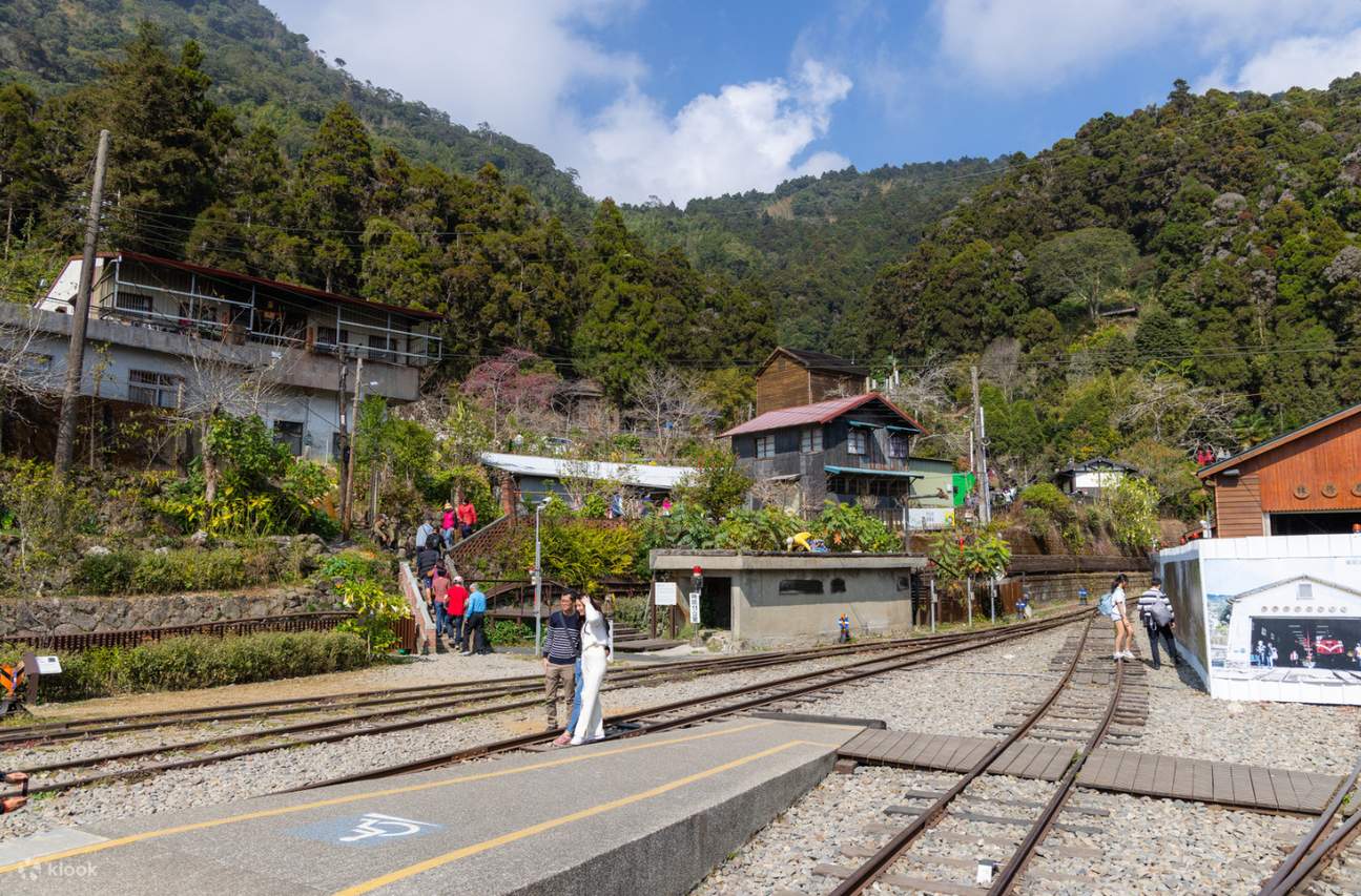 Alishan, Chiayi | 2-Day, 1-Night | Sunrise Forest Healing Trip ...