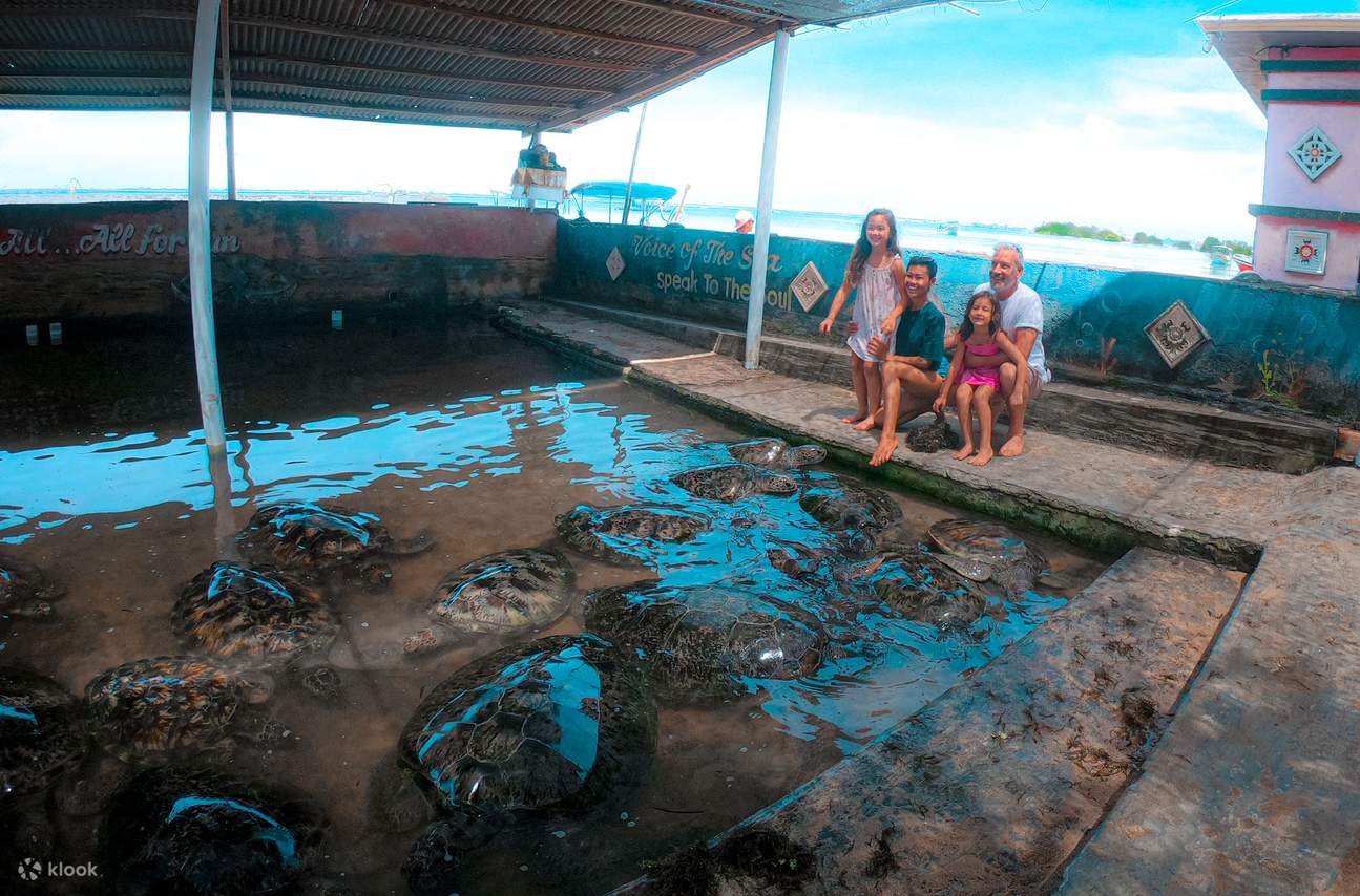 Turtle Island, Glass Bottom Boat and Mangrove Cruise by JTB Indonesia - 클룩 KLOOK 한국