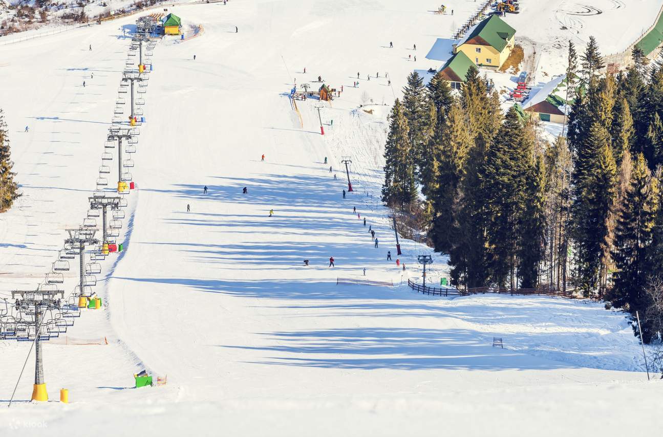 Japan Ski Day Tour | Mt. Fuji 2nd Station YETI Ski Resort | Snow tub ...
