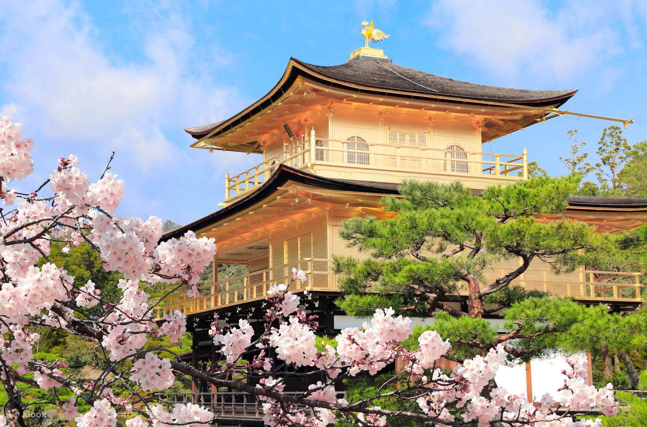 Kyoto Temples & Shrines Day Tour dari Kyoto: Fushimi Inari-taisha ...