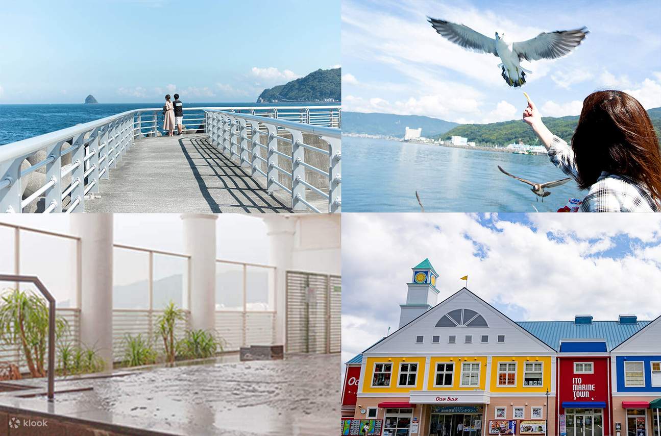 Mt. Omuro (with cable car), Atami Sunshine Coast, Jogasaki Coast, and ...