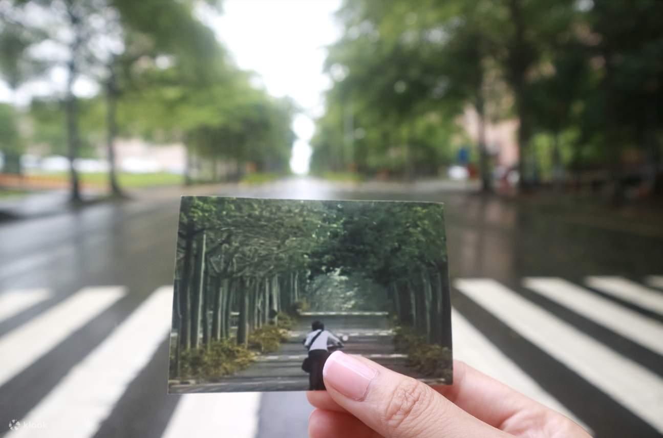 Meteor Garden Sightseeing Tour in Taiwan - Klook