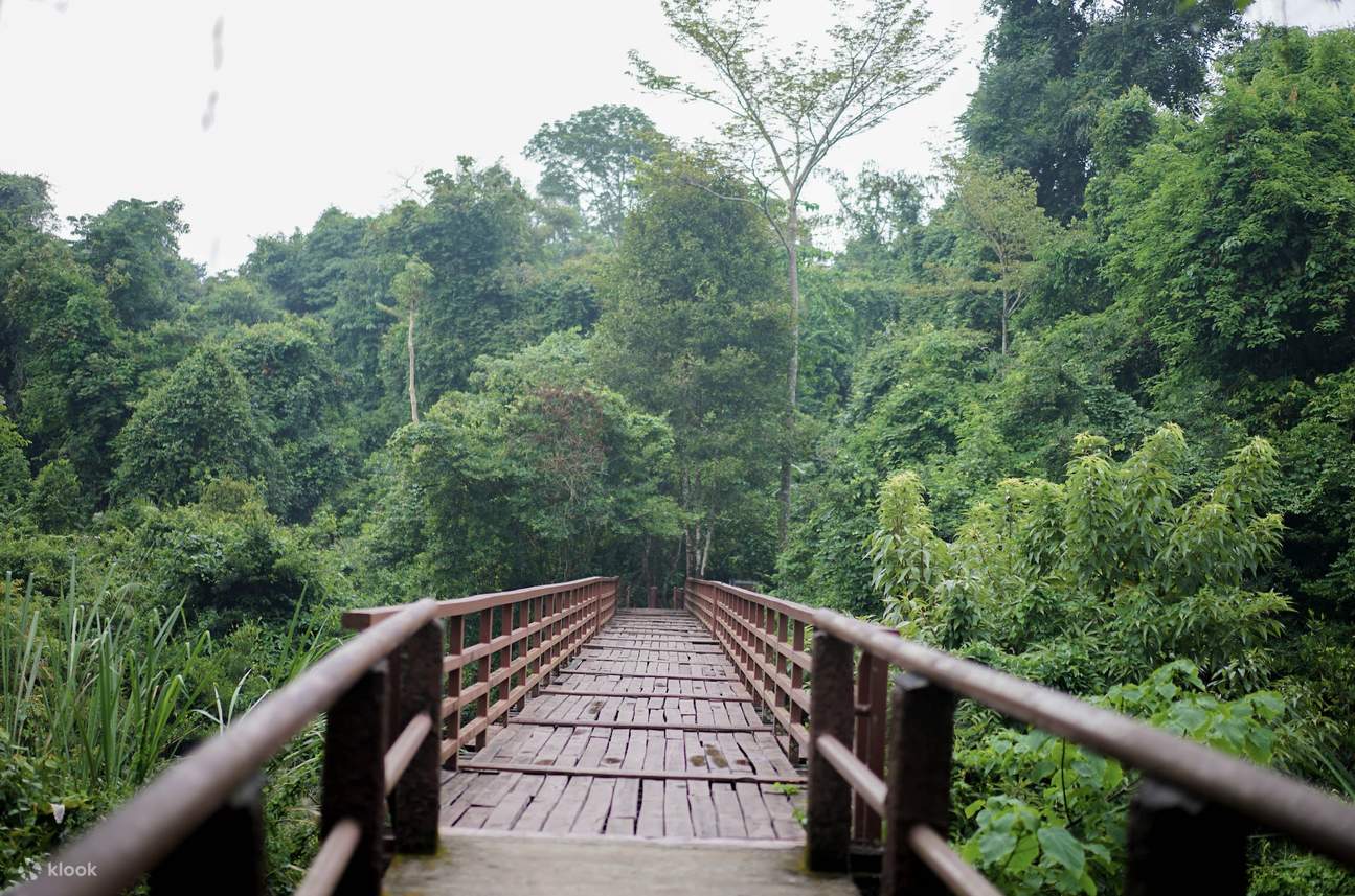 Rental Mobil Bangkok dan Khao Yai dengan Sopir oleh Okasto - Klook Indonesia