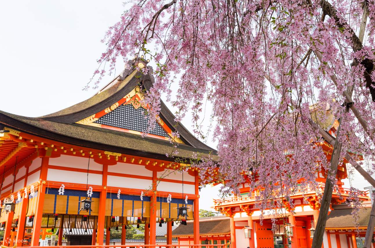 京都寺庙 And 神社一日游（大阪出发）：伏见稻荷大社 And 岚山 And 清水寺 Klook客路