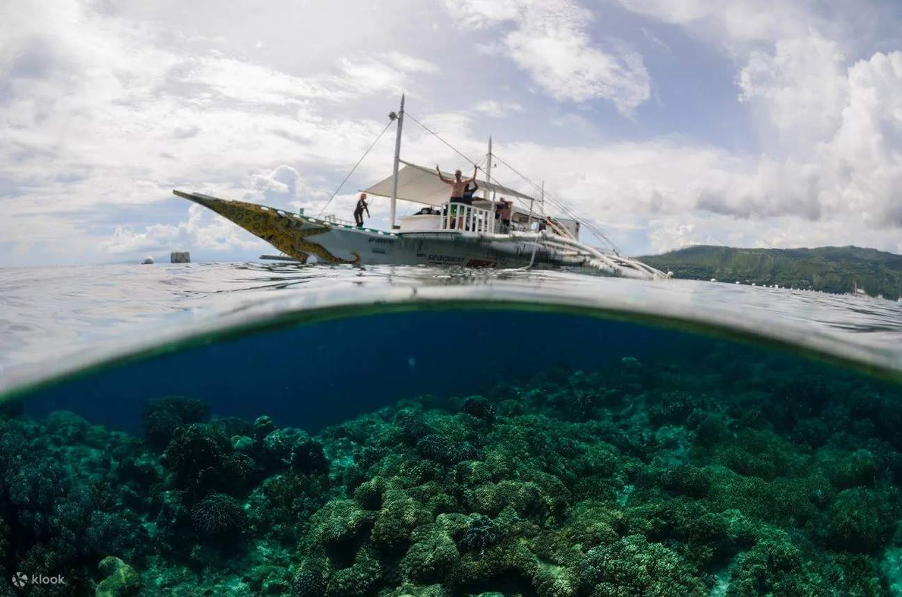Jelajahi Kedalaman dengan Kursus Penyelam PADI OW di Bohol | Menyelam di Resor Selam Bintang 5 ...