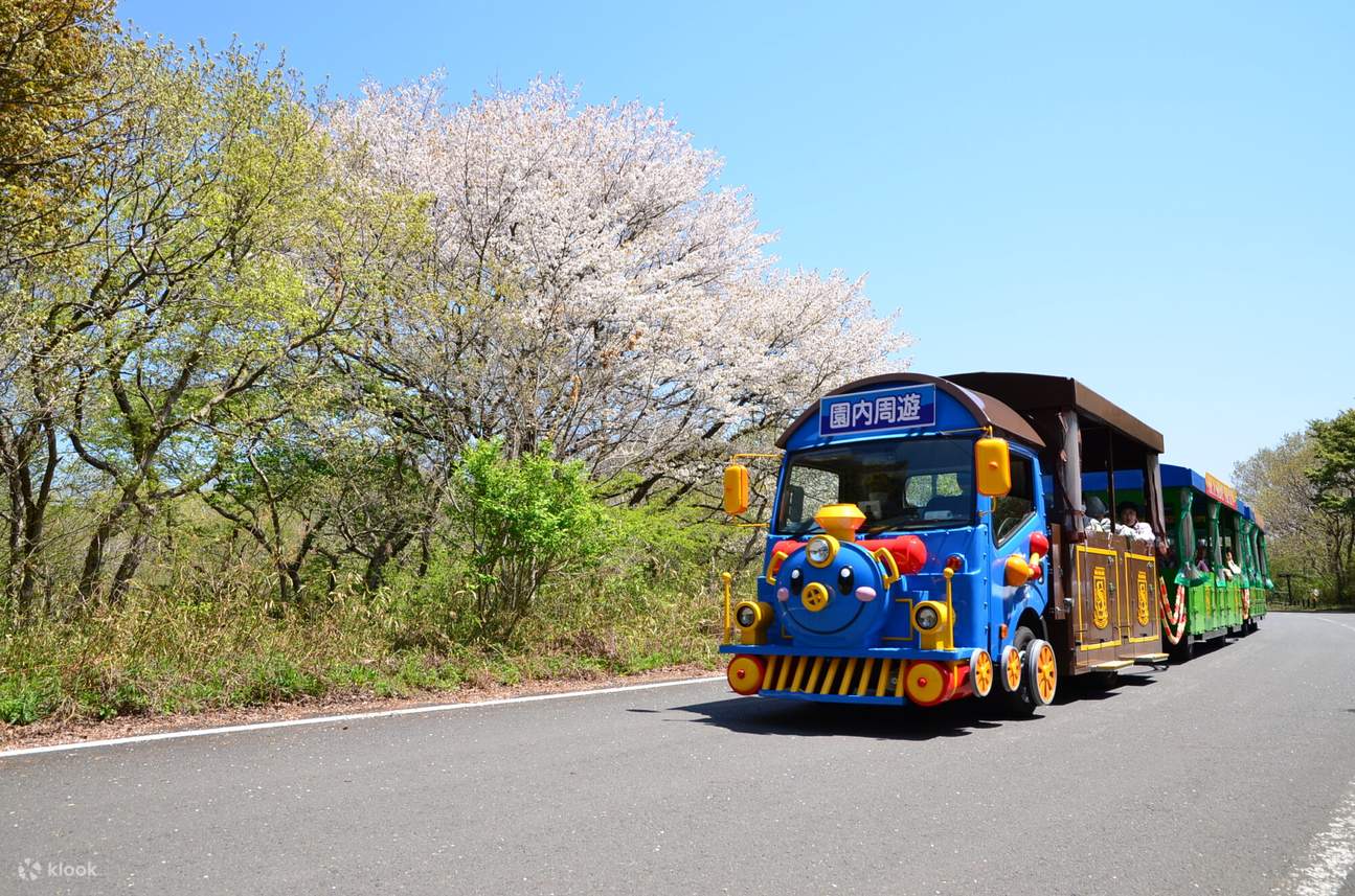 A one-day helicopter cruise tour to see the spectacular kochia - Klook ...