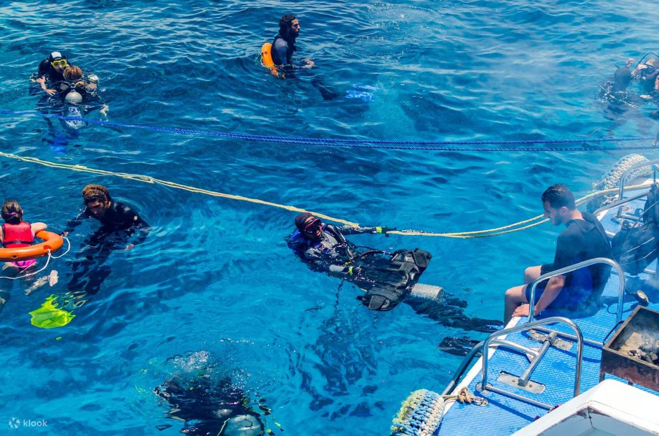 Perjalanan Sehari Penuh Skuba Diving Profesional Dengan Pemindahan ...