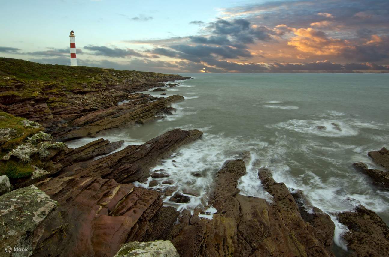 Dunrobin Castle & the Hidden Gems of Easter Ross from Inverness - Klook