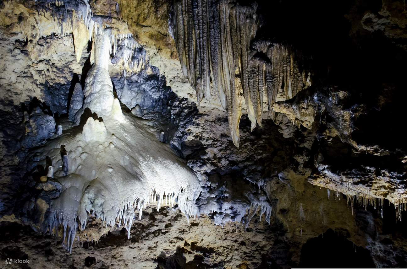 [Klook] Everland And Flying Suwon Day Tour from Seoul - Klook