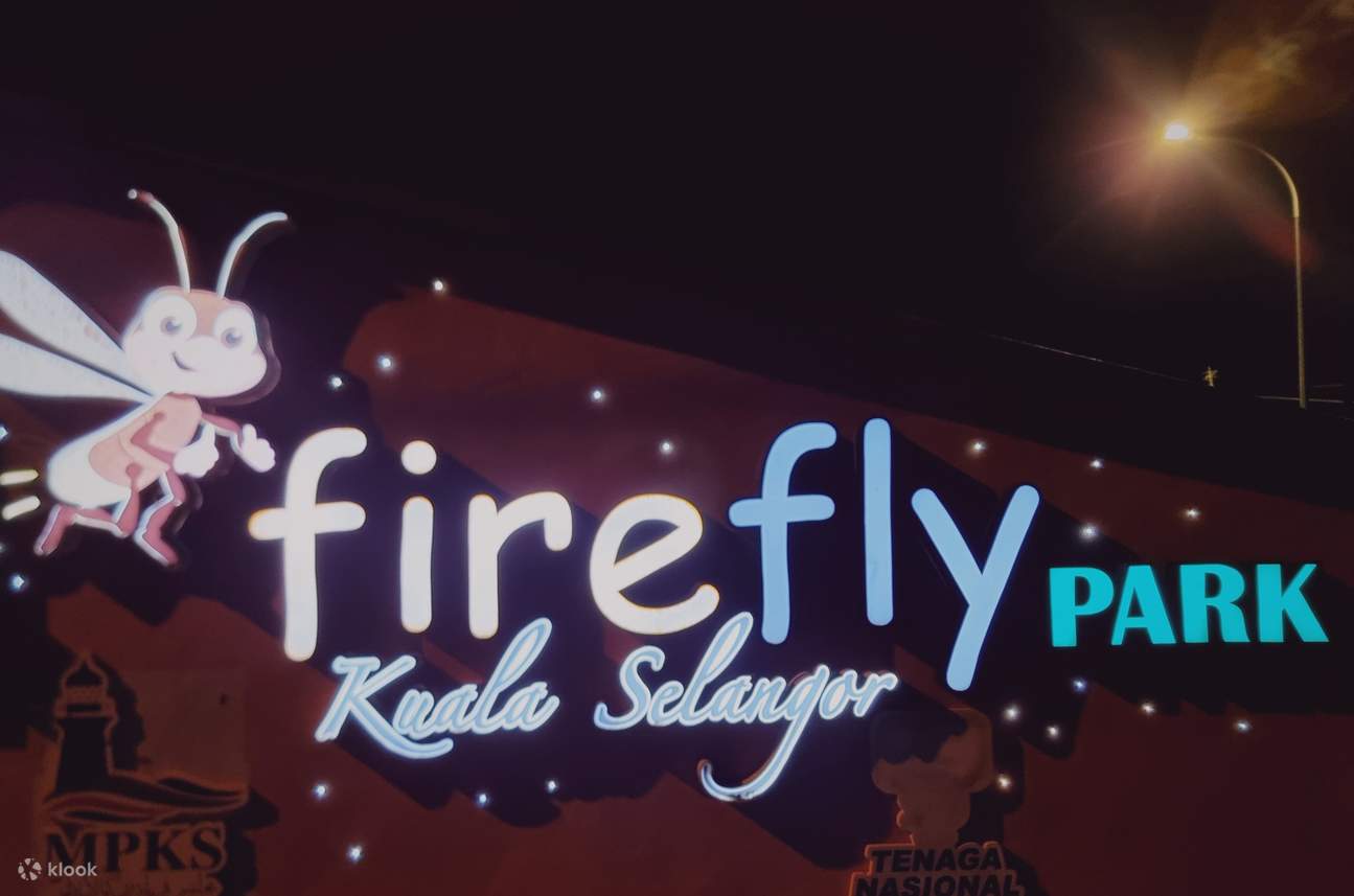 Fireflies and Blue Tears Tour from Kuala Lumpur - Klook Australia