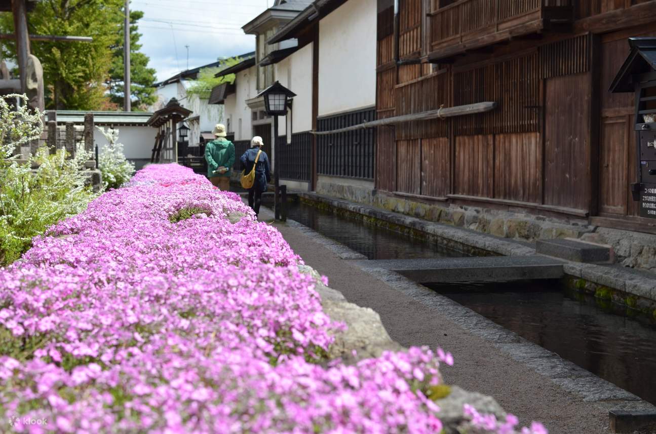 Hida Great Limestone Cave Private Day Car Tour from Hida - Klook
