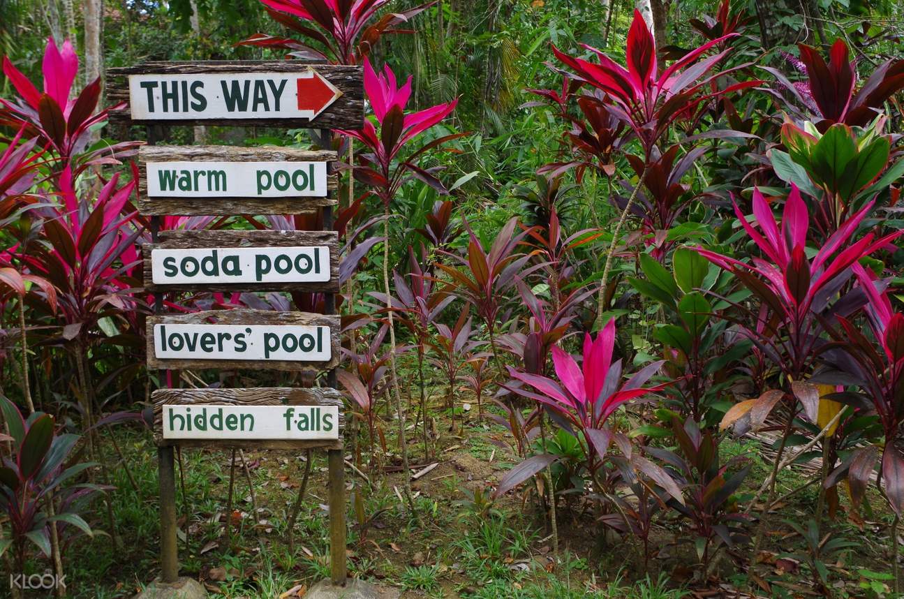 Hidden Valley Springs Private Day Tour from Manila by Vina Tour ...