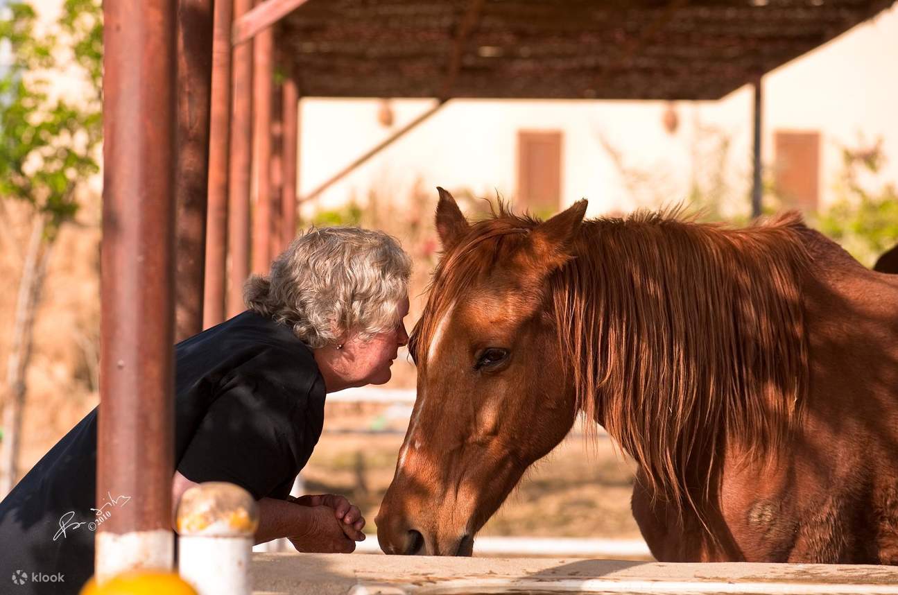 Rustic Lunch with Scenic Views and an Authentic Experience - Klook ...