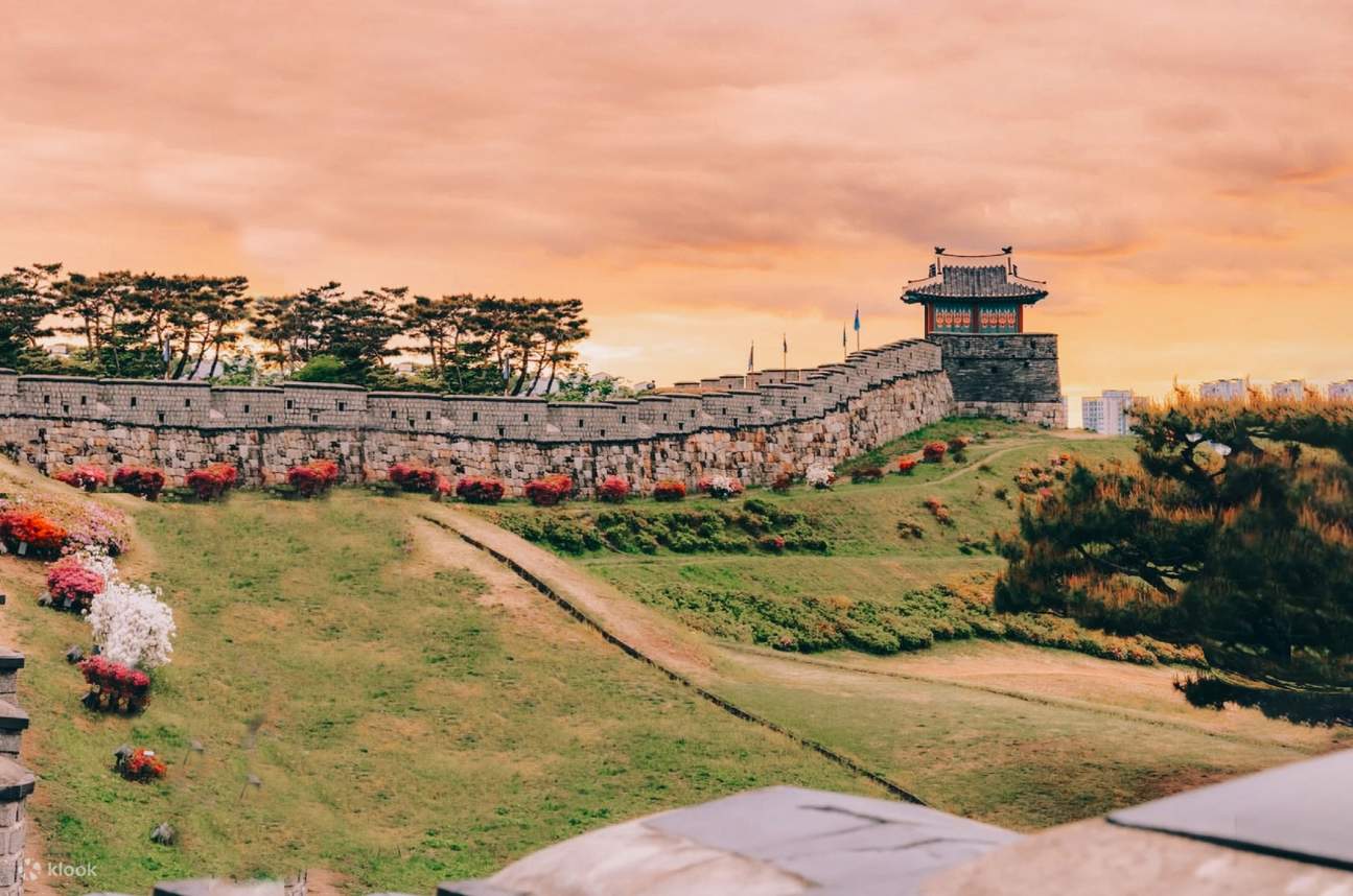 Cherry Blossom Suwon Hwaseong Fortress Tour from Seoul - Klook