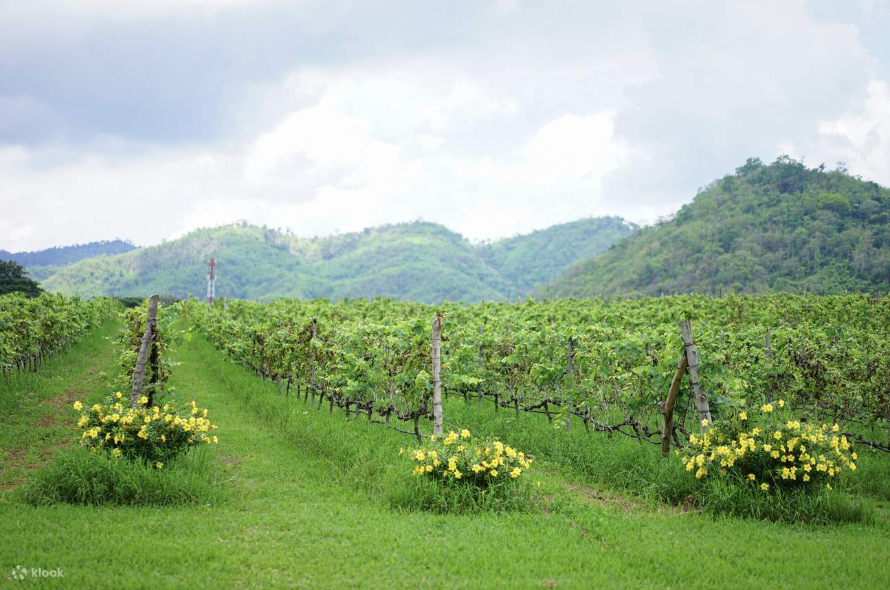 バンコクとカオヤイのドライバー付きレンタカー（Okasto 提供） | Klook